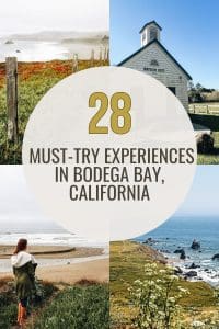 Bodega Bay California Bucket List: 28 Fun Experiences