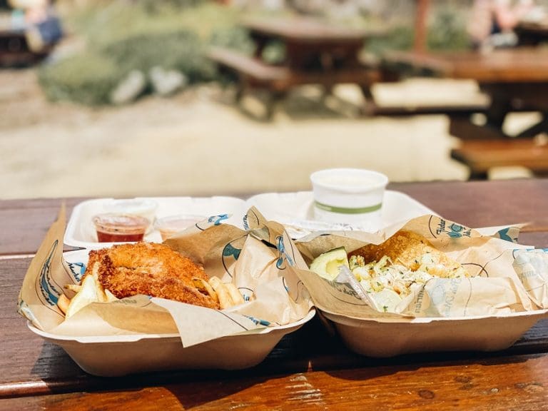 Bodega Bay California Bucket List: 28 Fun Experiences