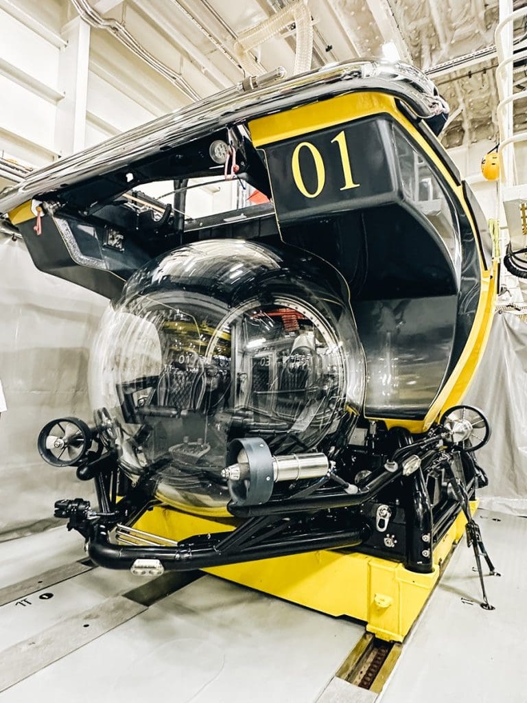 Viking Octantis Bucket List: What You Can't Miss Onboard